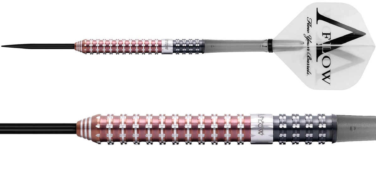 Dynasty Black Line CT Assegais 2 Leonard Gates Steeldarts 22 Gramm ...